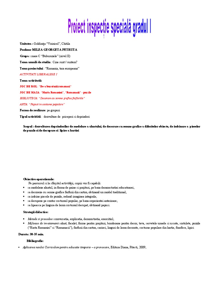 1 Proiect Didactic Ala I | PDF