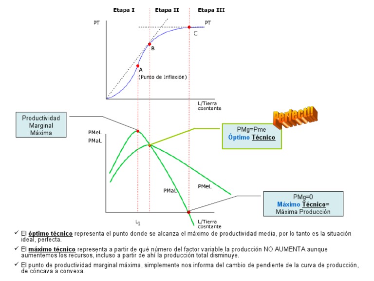 Máximo técnico y óptimo
