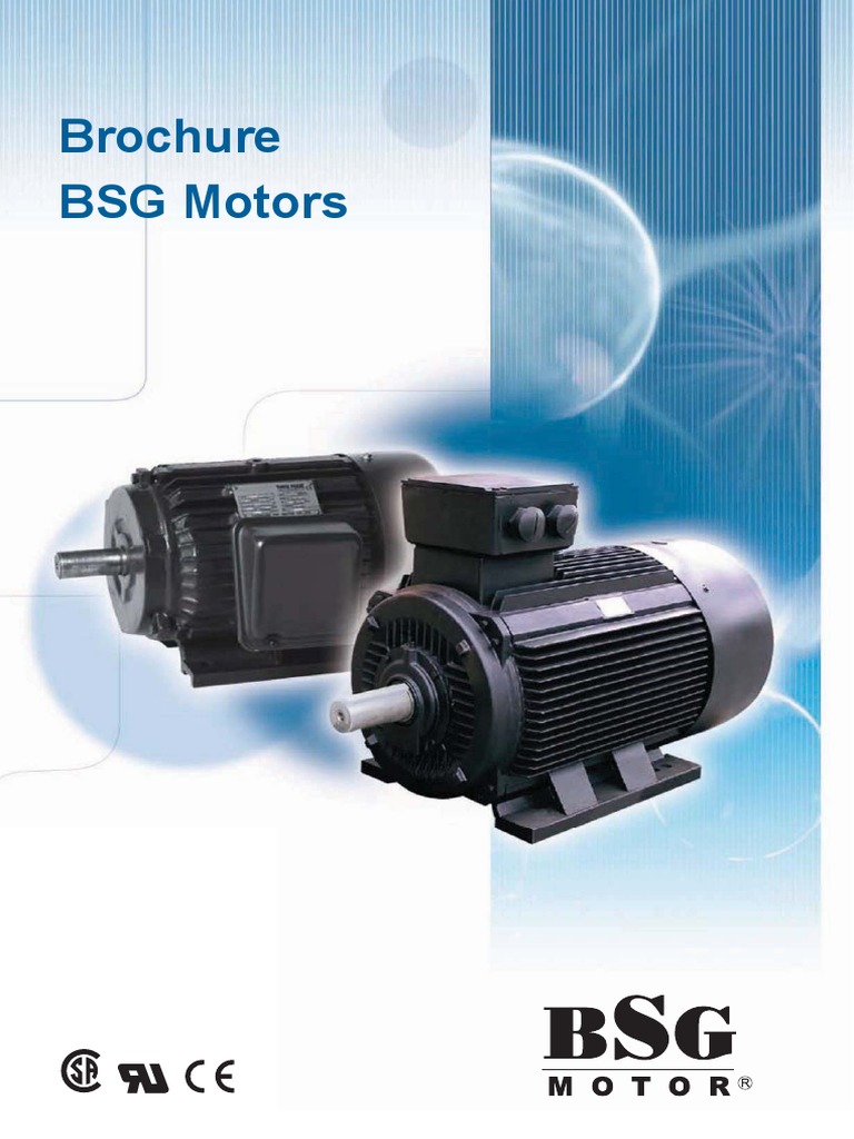 Brochure BSG Motor | PDF | Naturaleza