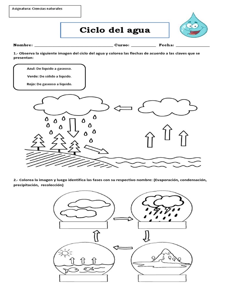 Hojas De Trabajo Sobre El Ciclo Del Agua, Segundo Grado Descarga