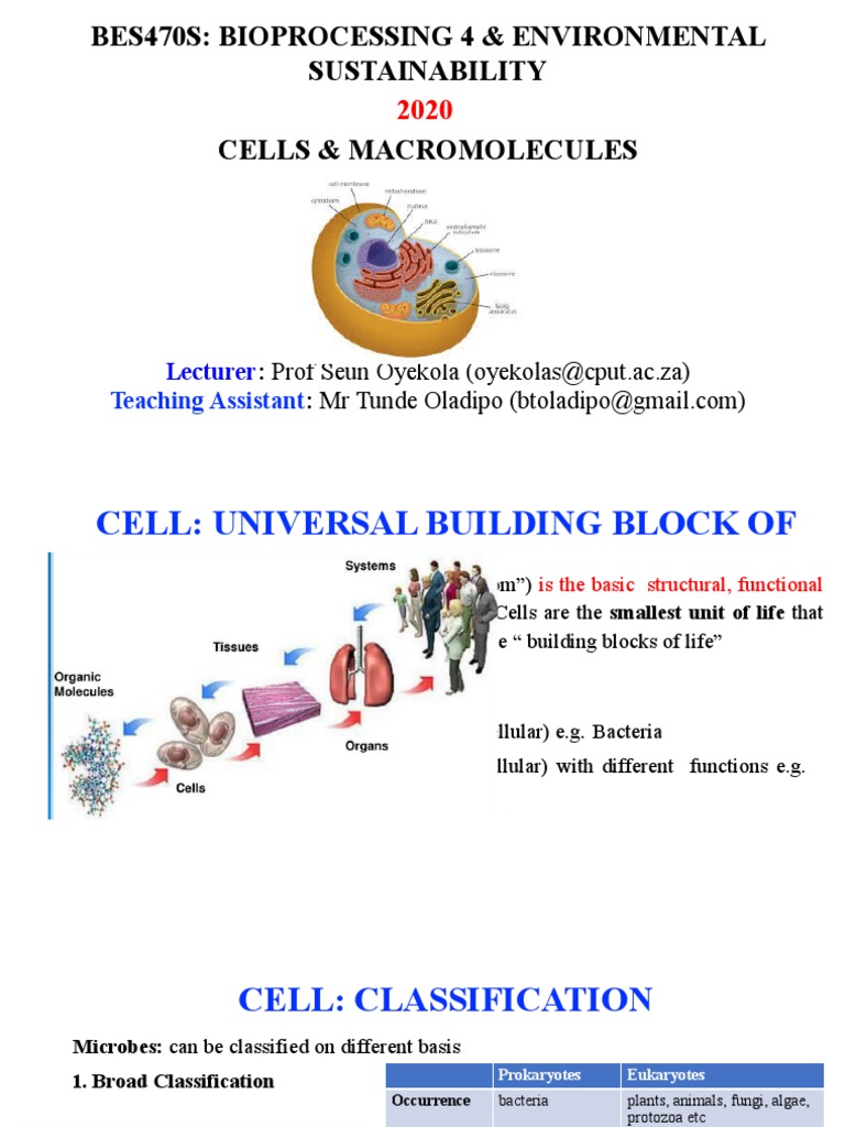 Lesson 2 (Cells and Macromolecules) | PDF | Cell (Biology) | Nutrients