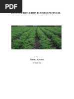 Vegetable Farming Business Plan Template | PDF | Equity (Finance ...