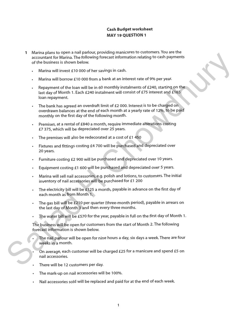 Cash Budget Worksheet | PDF | Overdraft | Insurance