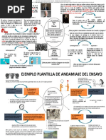 Evluacion de TDC, Una Guía Del IB. | PDF