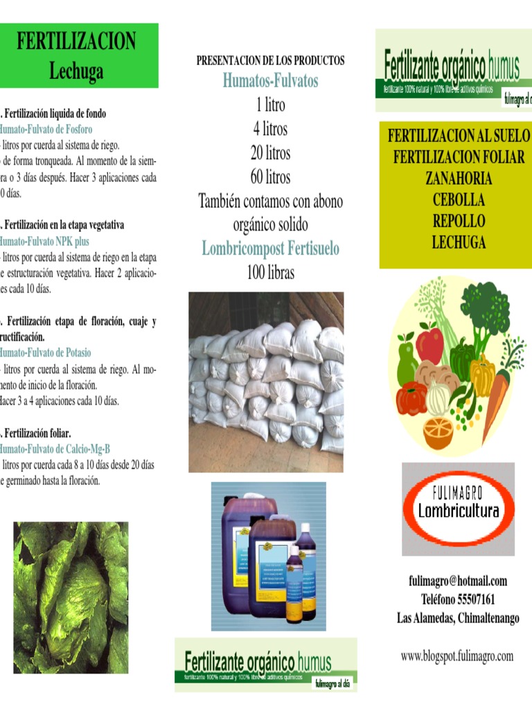 Programa Fertilizacion Cebolla Zanahoria Repoll y Lechuga PDF | PDF ...