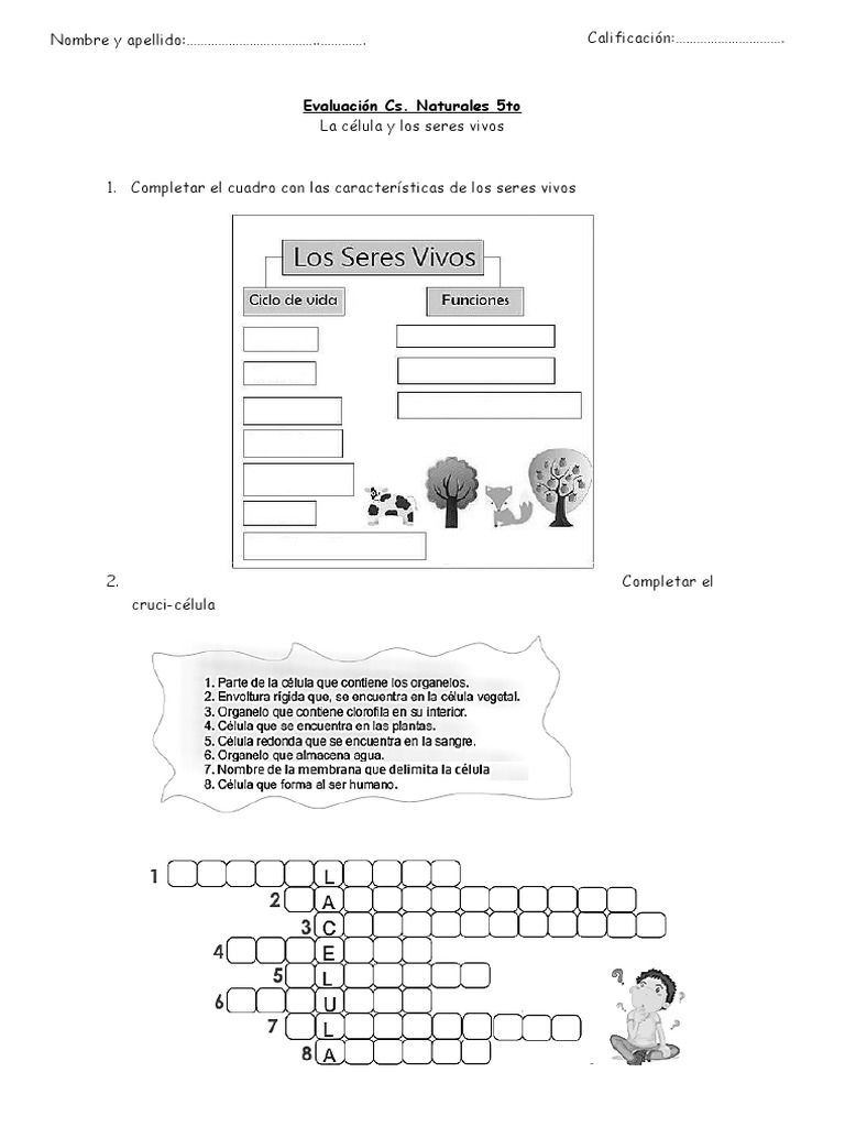 La estructura y clasificación de las células y los seres vivos | PDF