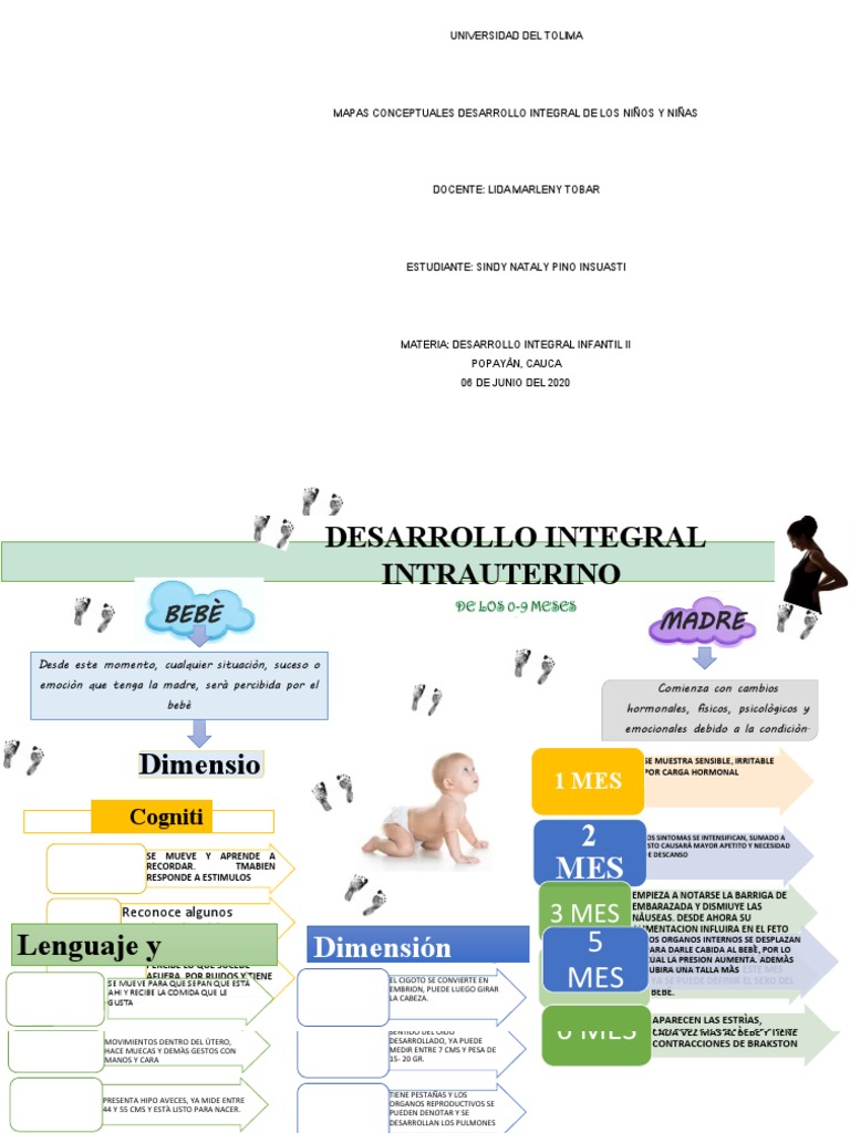 Mapas Conceptuales Desarrollo Infantil. | PDF | Las emociones | Verbo