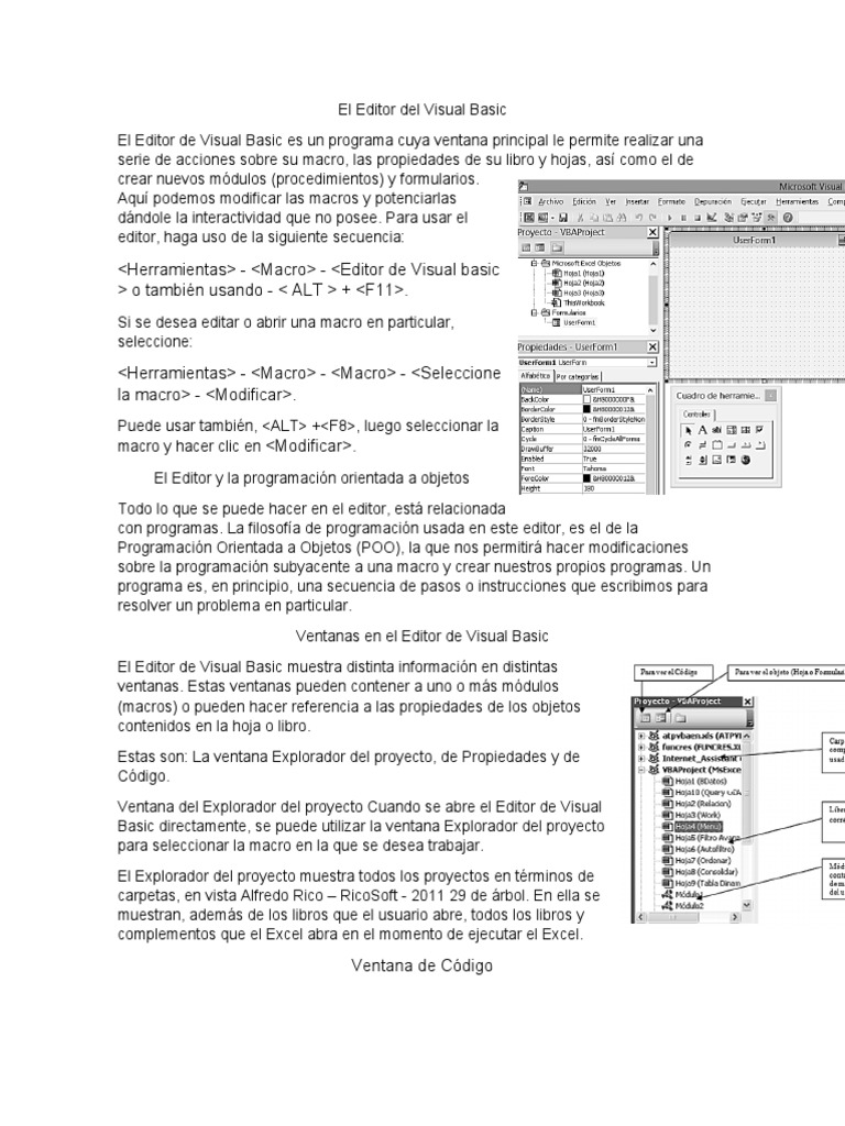 El Editor Del Visual Basic | PDF | Macro (informática) | Básico