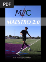 ZTH Player Accelerator Training Plan | PDF | Foot | Ball Games