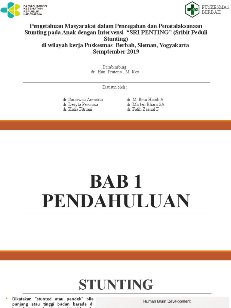 Minipro Stunting - Fix | PDF