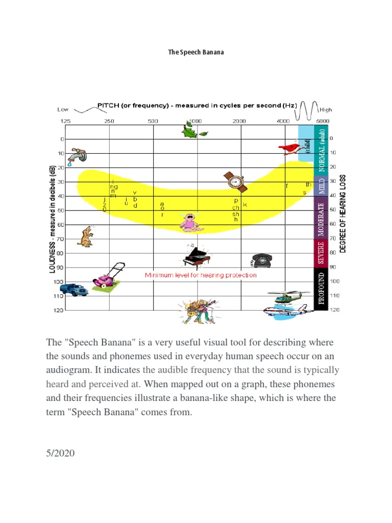Understanding the Speech Banana | PDF