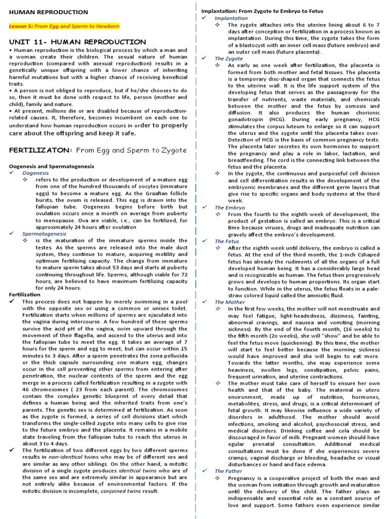 Der To Properly Care About The Offspring and Keep It Safe ...