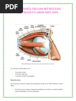 Astenopia o Fatiga Visual | PDF | Ojo humano | Oftalmología