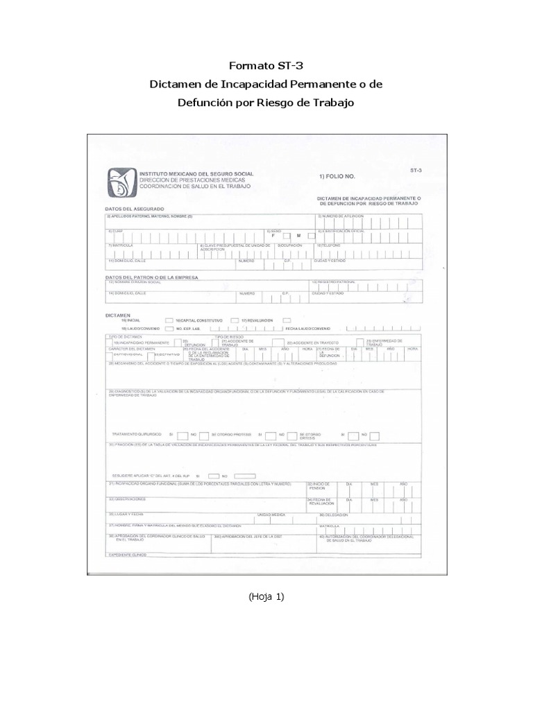 Anexo 43-st 03-Incap Permanencia Defun PDF | PDF