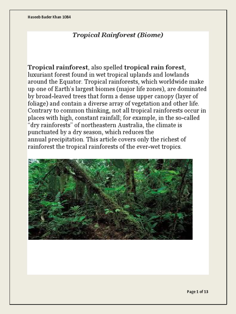 Tropical Rainforest, Also Spelled Tropical Rain Forest | PDF | Tropics ...