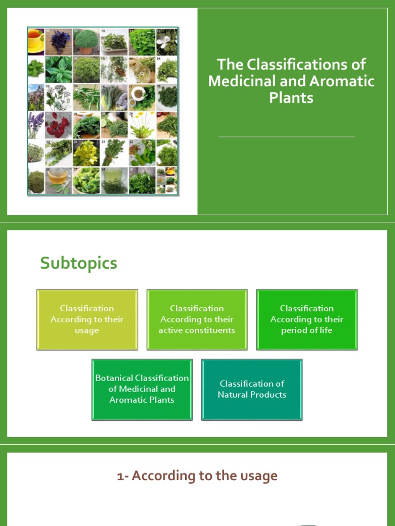Classification of Medicinal & Aromatic Plants | PDF | Plants | Chemicals