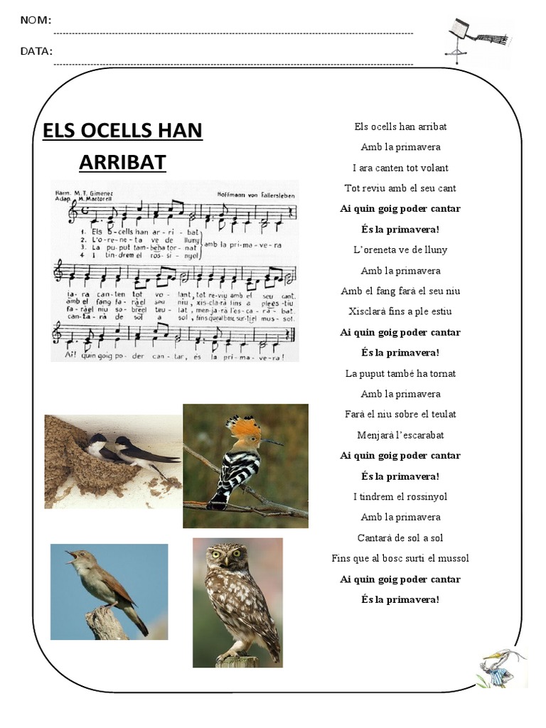 Els Ocells Han Arribat | PDF