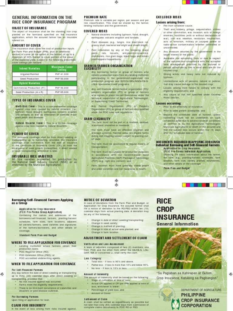 Rice Insurance Guide for Farmers | PDF | Crop Insurance | Insurance