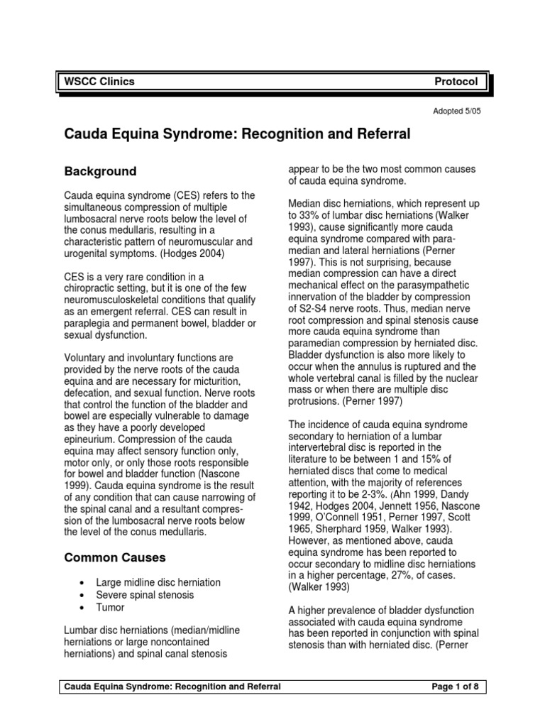 Cauda Equina Syndrome PDF | PDF | Urinary Incontinence | Back Pain