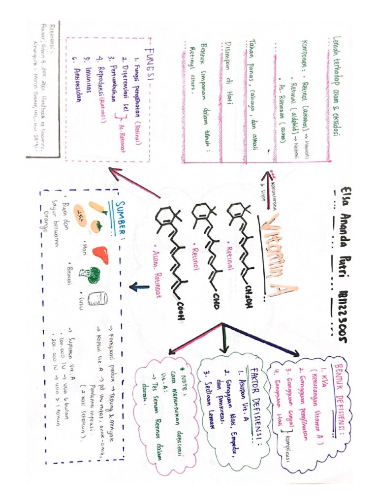 Mind Mapping Vitamin Larut Lemak | PDF
