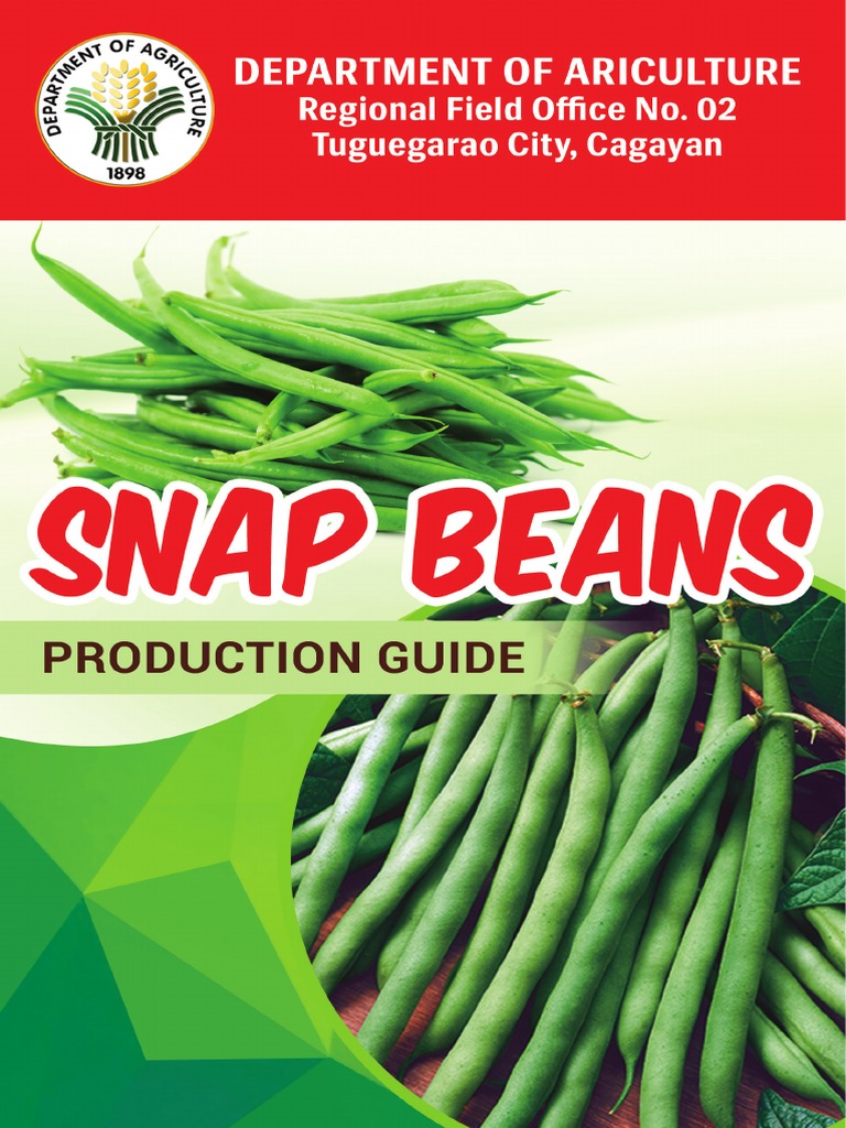 Snap Beans Production Guide | PDF | Phaseolus Vulgaris | Green Bean