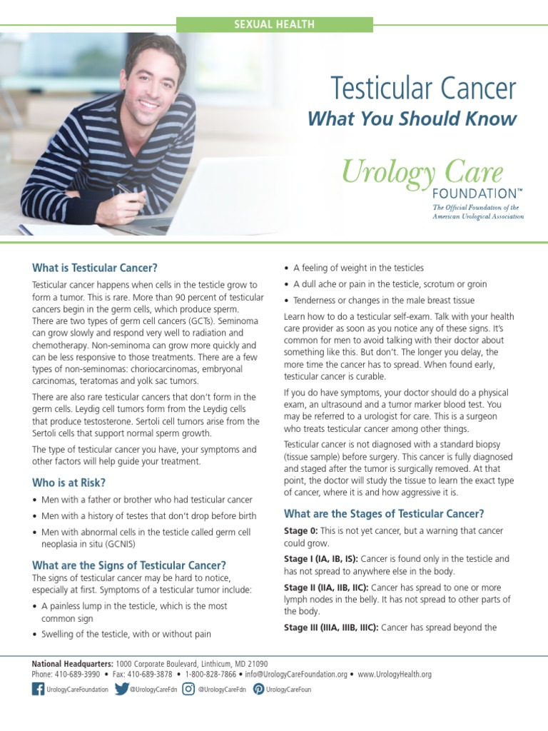 Testicular Cancer Fact Sheet PDF | PDF | Testicle | Cancer