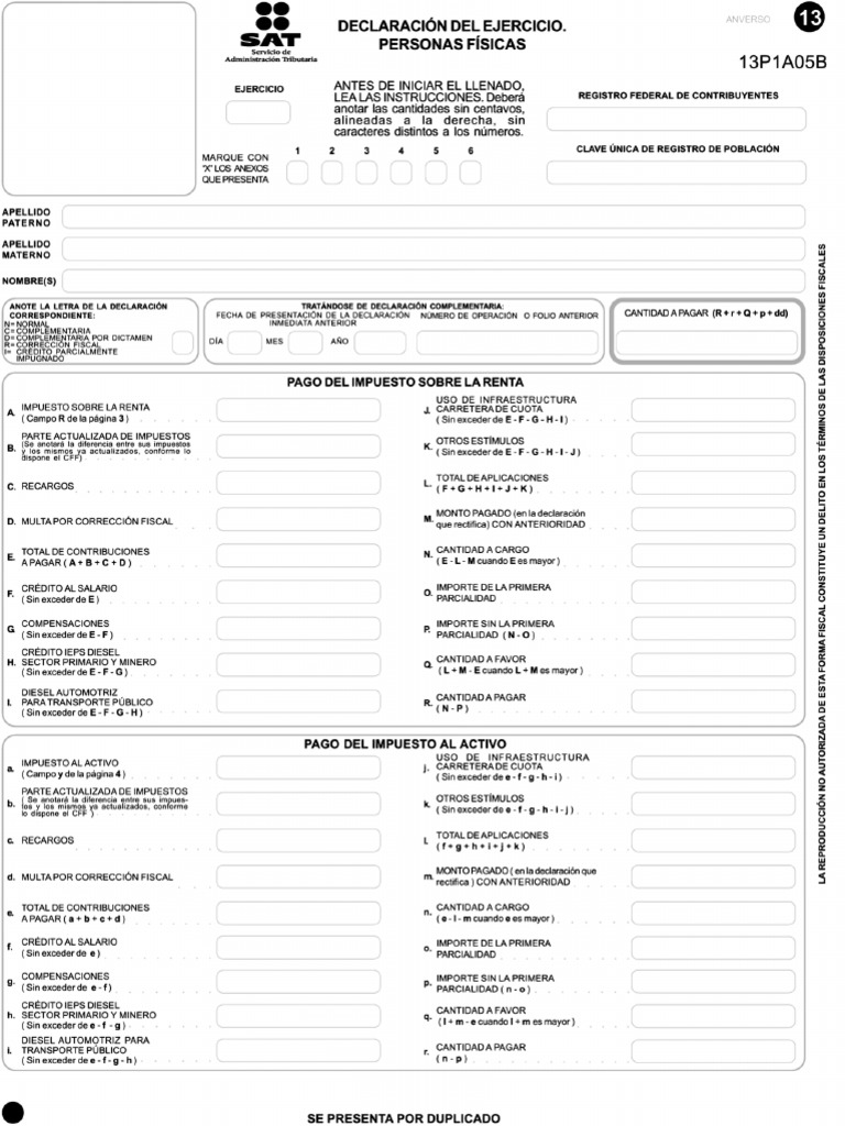 Formato 13 Editable | PDF | Impuestos | Finanzas del gobierno