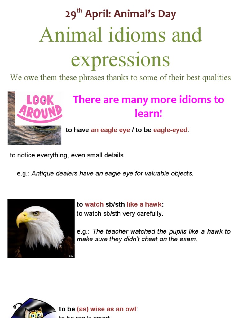 Animal's Day - Idioms Poster | PDF