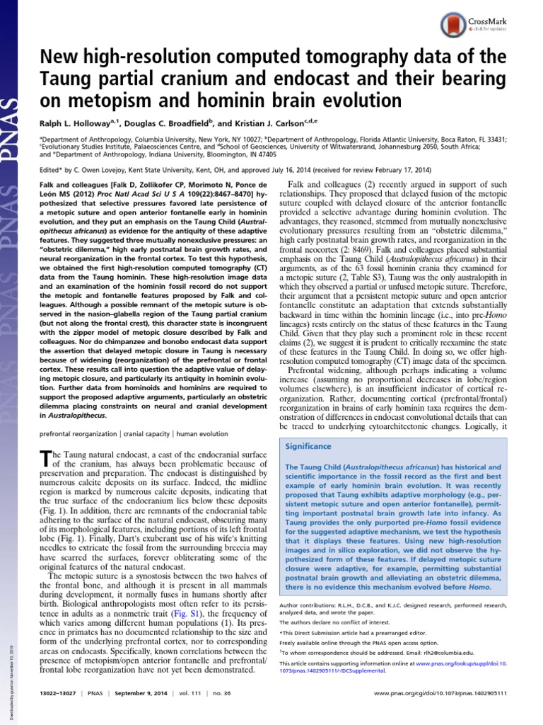 New High-Resolution Computed Tomography Data of The Taung Partial ...
