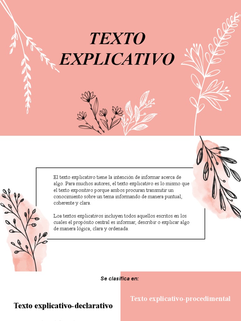 Texto Explicativo | PDF | Comprensión | Teoría