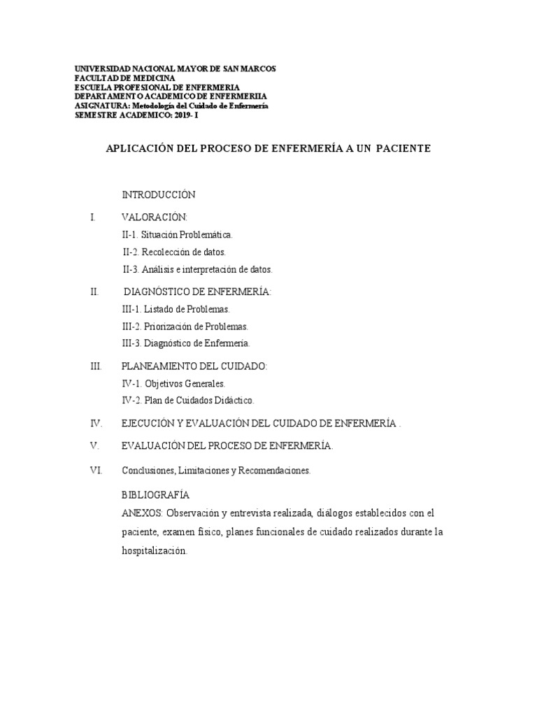 Estructura Del PAE. 2019-I. | PDF