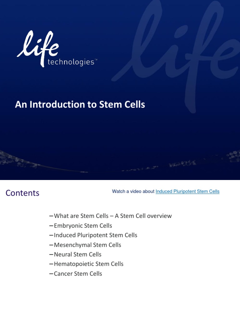 An Introduction To Stem Cells | PDF | Cell Potency | Embryonic Stem Cell