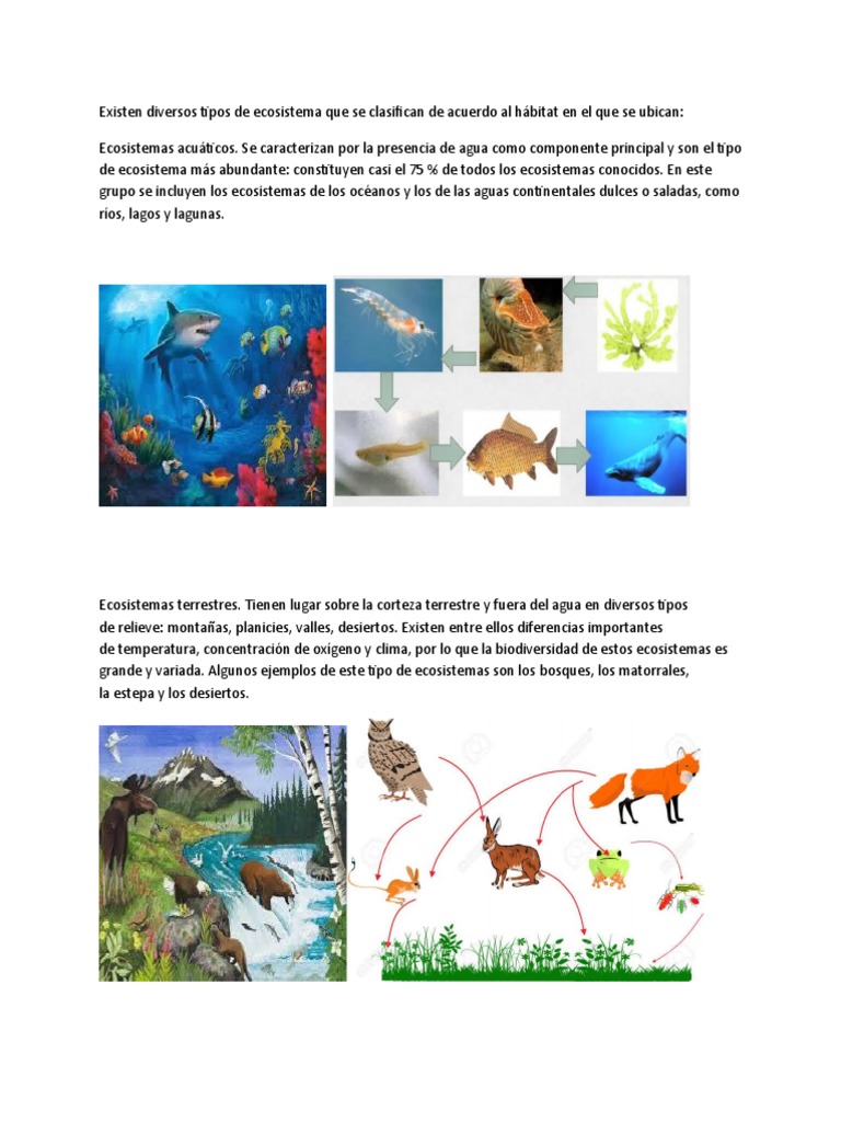 Ecositema | PDF