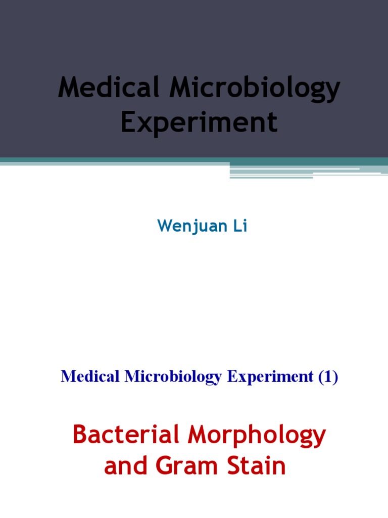 Bacterial Morphology and Gram Stain | PDF | Gram Positive Bacteria ...