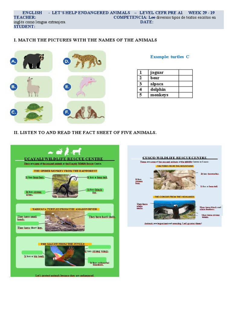 Endangered Animals Lesson Plan CEFR A1 | PDF | Organisms