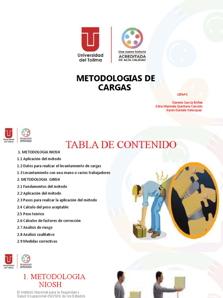 Presentacion-Metodo Niosh-Metodo Ginsh | PDF | Factores humanos y ergonomía | Evaluación