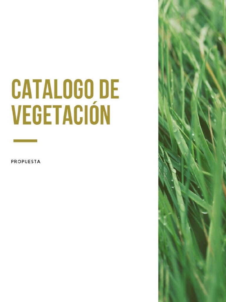 Catalogo de vegetación | PDF