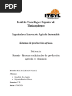 Sistema de Roza y Quema Maya | PDF | México | Agricultura