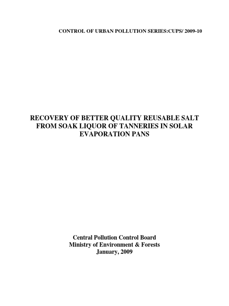 Cups Salt Report | PDF | Membrane | Sewage Treatment