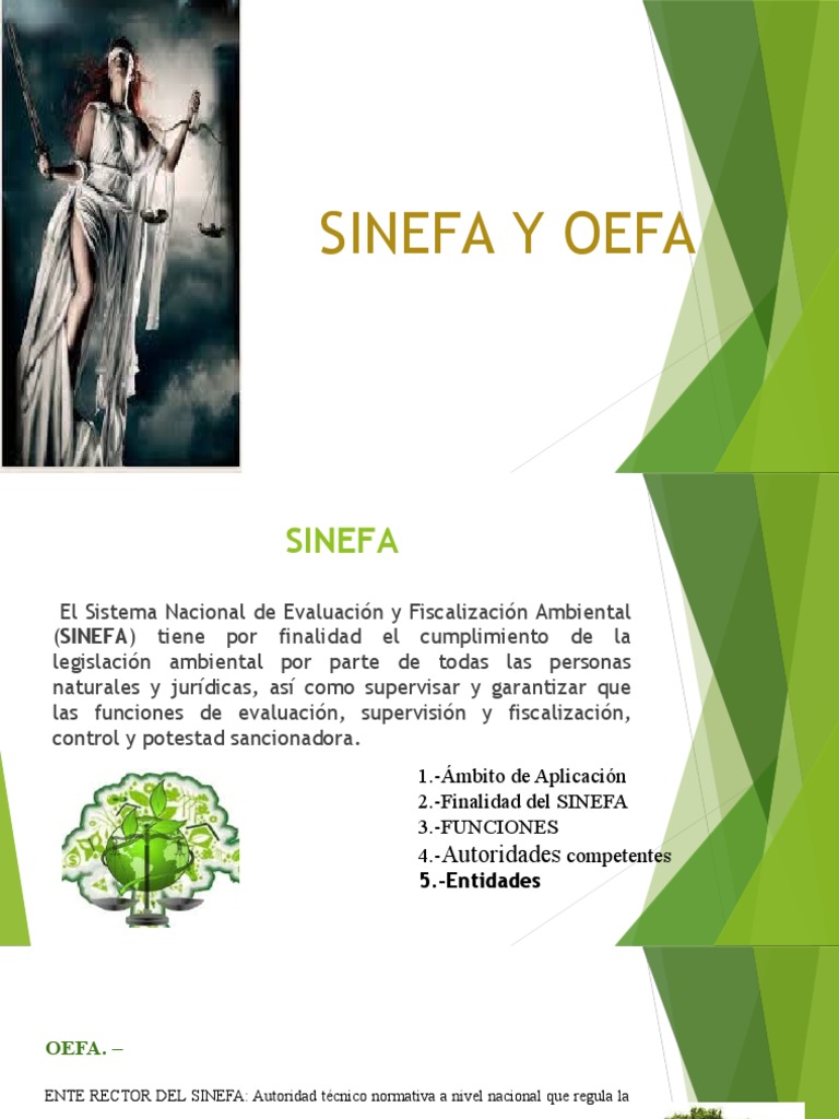 Sinefa y Oefa | PDF | Gobierno | Politica Ambiental
