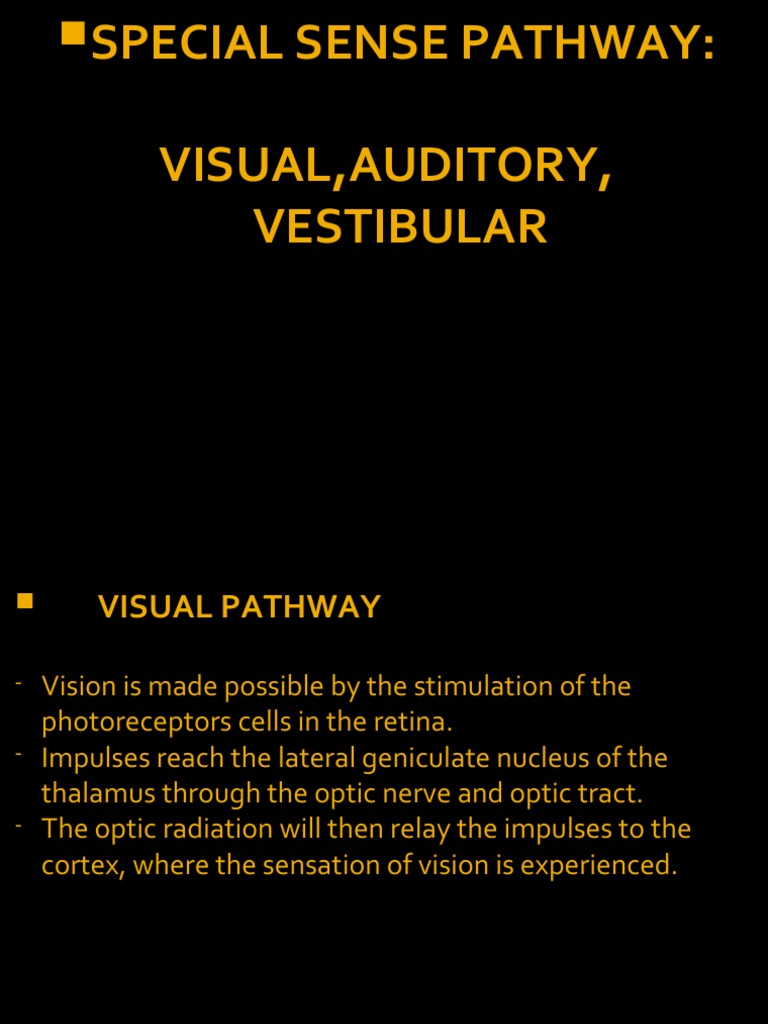 Special Senses Pathway: Visual, Auditory & Vestibular | PDF | Ear ...