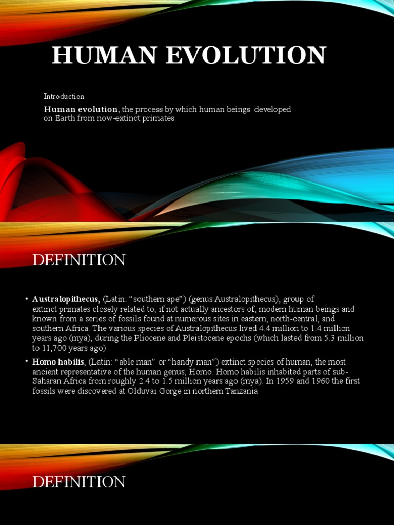 Overview of Human Evolution | PDF | Homo | Human Evolution
