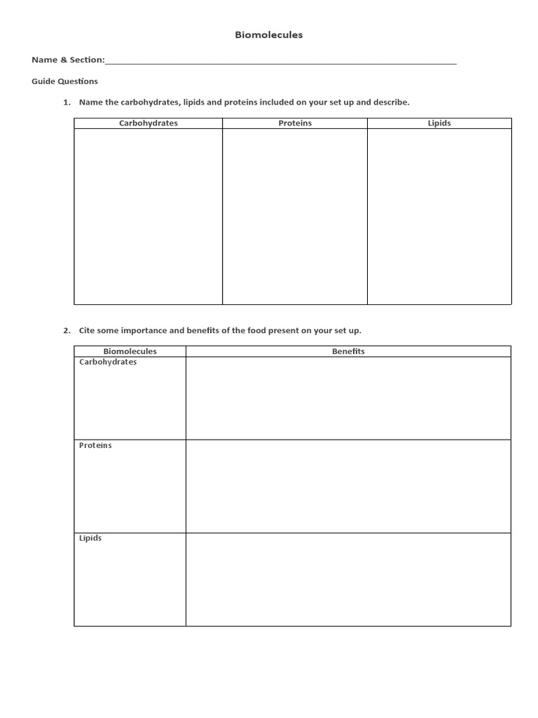 Biomolecules Activity Sheet | PDF | Gases | Chemical Reactions