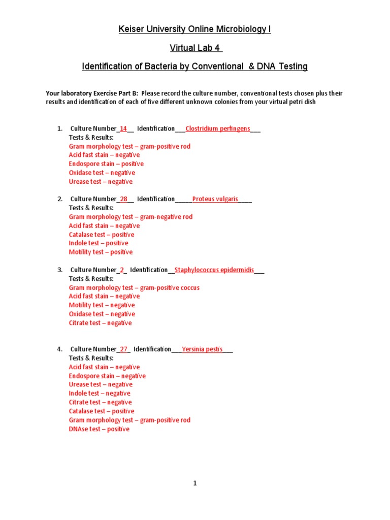 Keiser University Online Microbiology I Virtual Lab 4 Identification of ...
