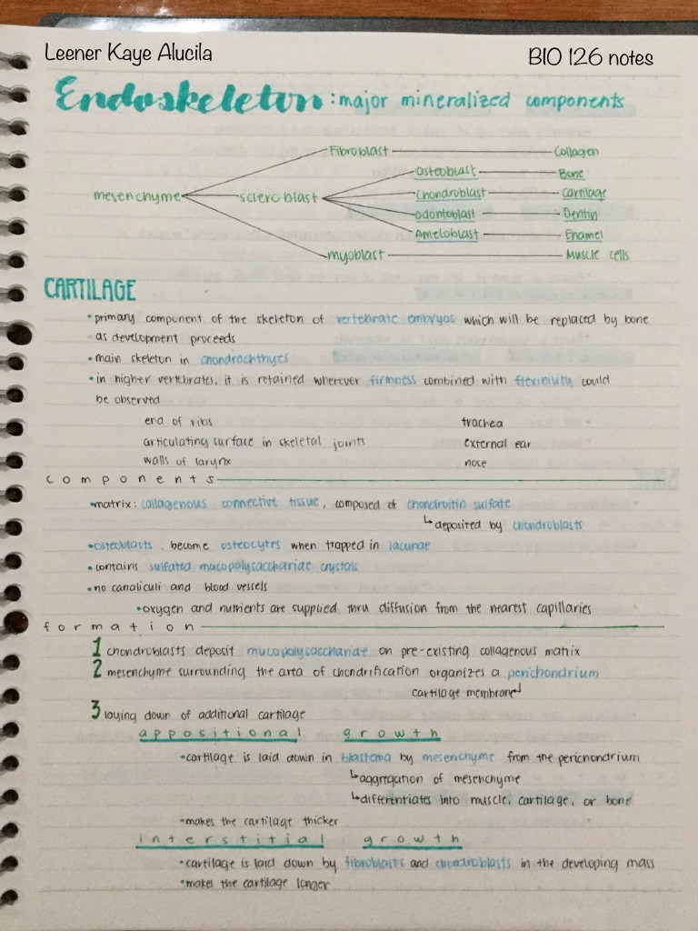 Bio 126 Notes | PDF | Wellness