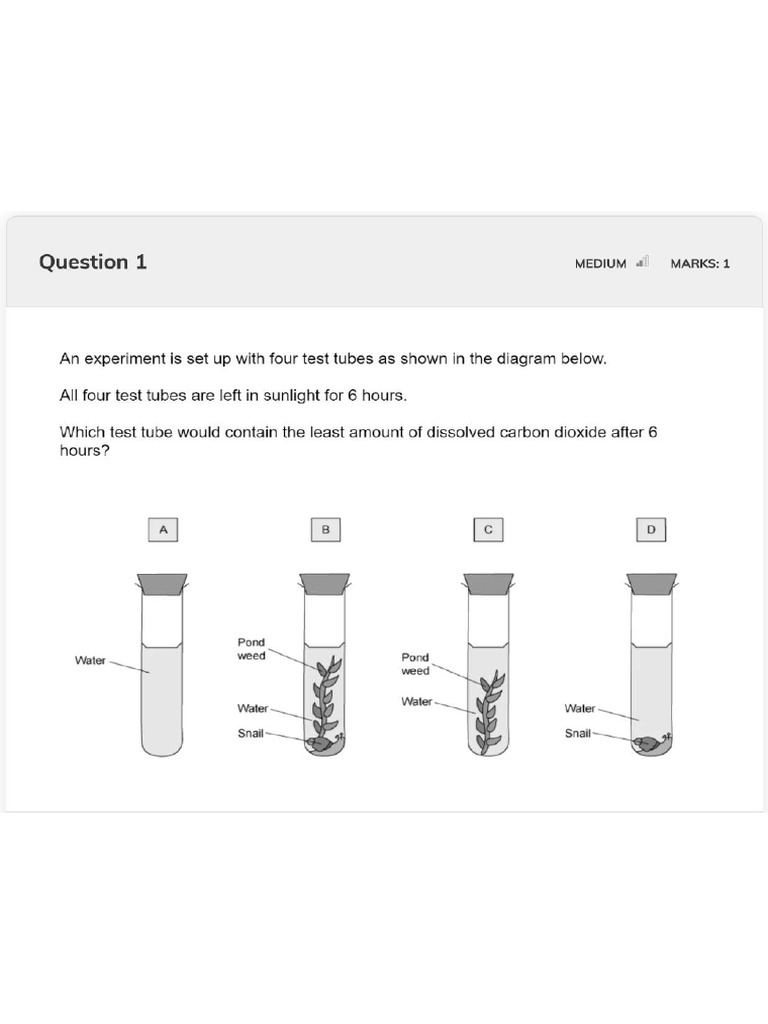 Biology Practice Test | PDF