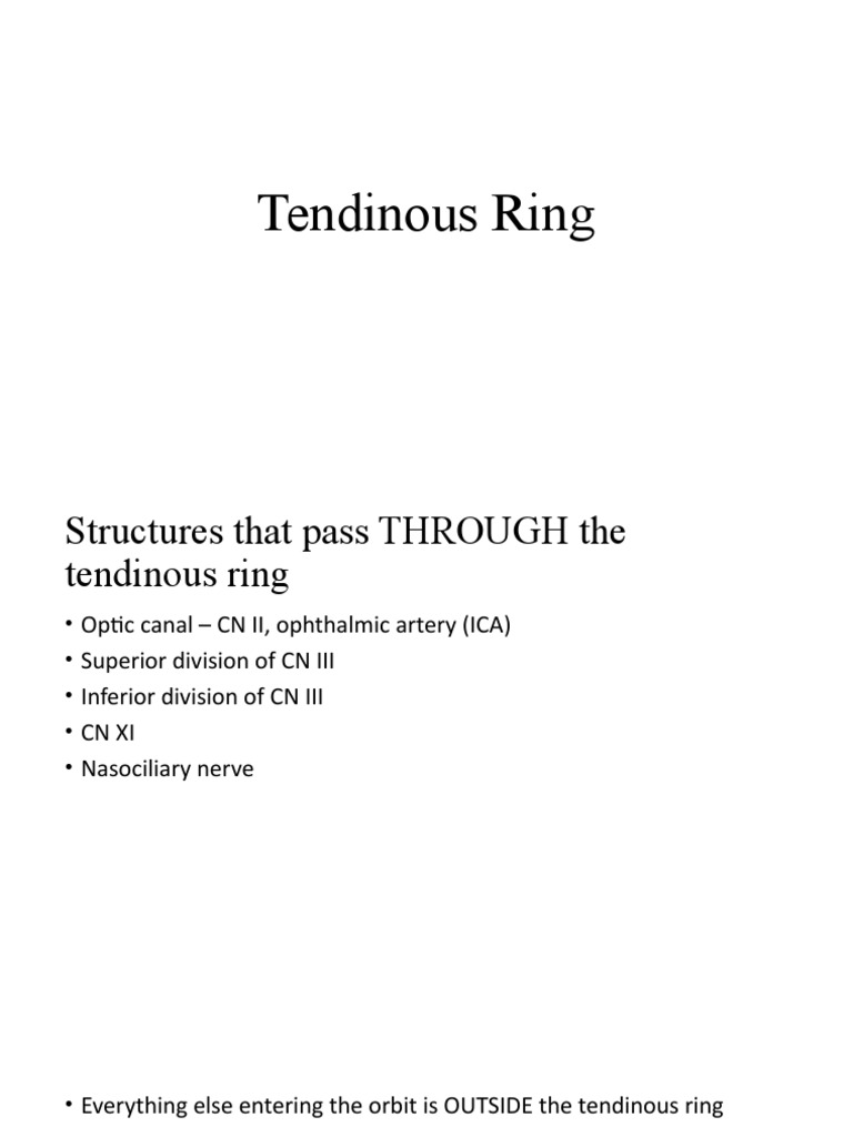 Tendinous Ring | PDF