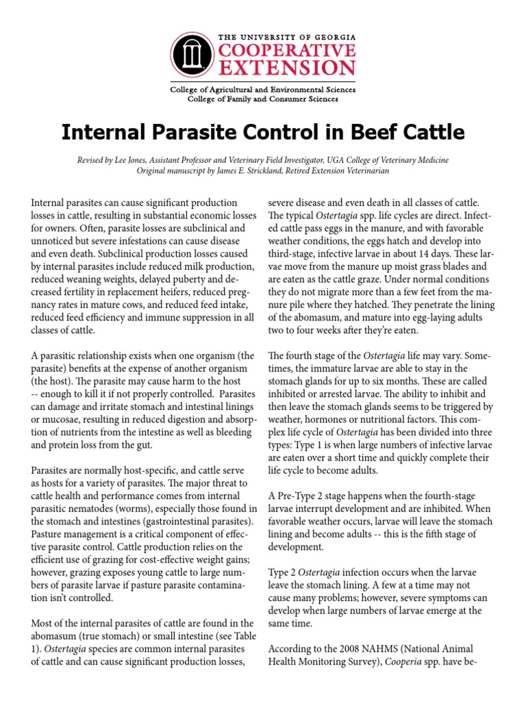 Internal Parasite Control in Beef Cattle PDF | PDF | Cattle | Parasitism