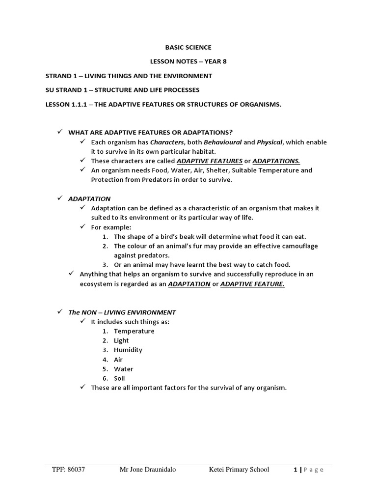 Basic Science Lesson Notes 8 PDF | PDF | Eclipse | Digestion Basic Science Lesson Notes 8 PDF | PDF | Eclipse | Digestion