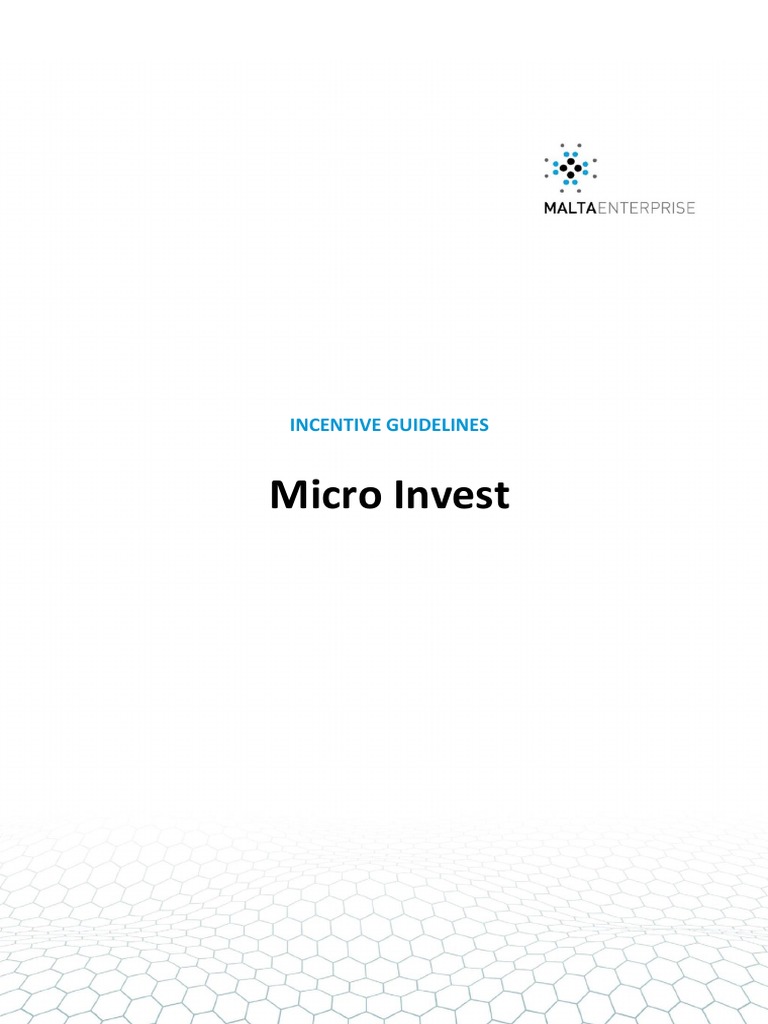 Micro INVEST | PDF | Tax Credit | Taxes